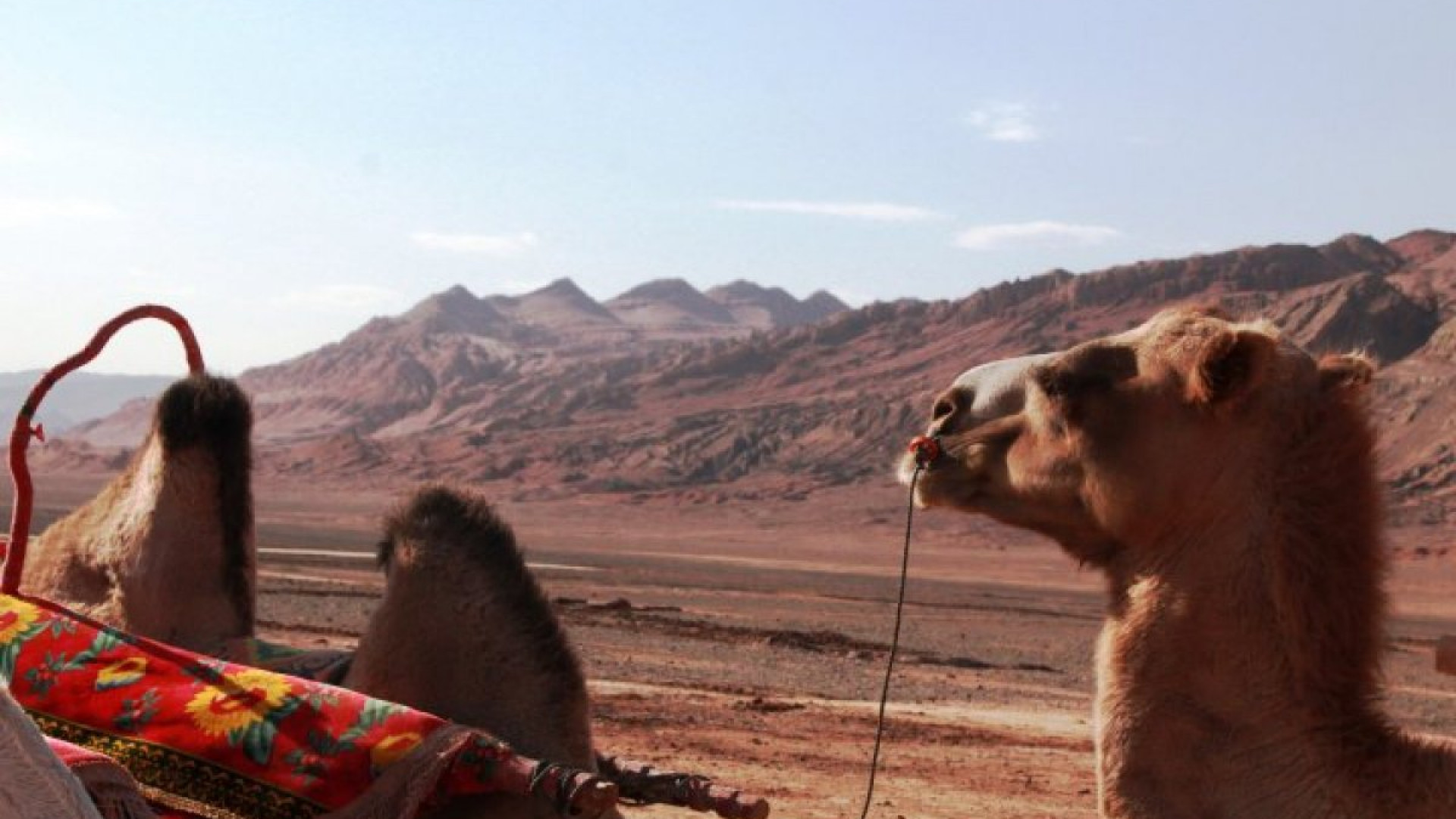 In the footsteps of great Central Asian explorer