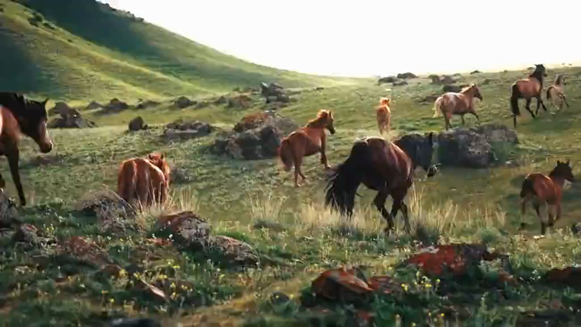 Kazakhstan's hidden gem: Assy Plateau stuns the internet